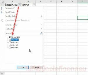 การทำกรองข้อมูล (Filter) ใน Microsoft Excel - NONGIT.COM